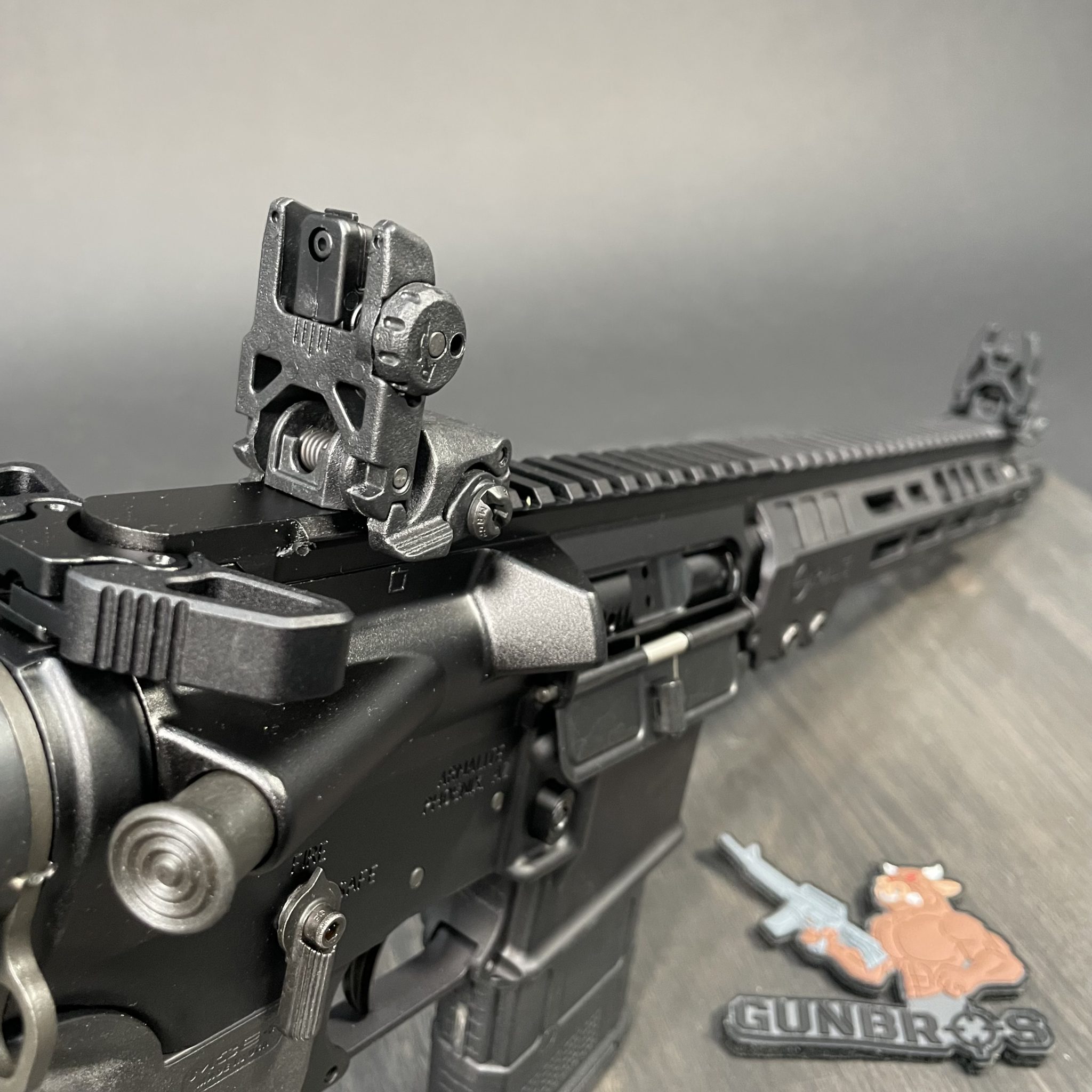 Armalite M-15 w/ Radian Raptor and MBUS Sights 5.56mm - GUNTICKETS [10 ...